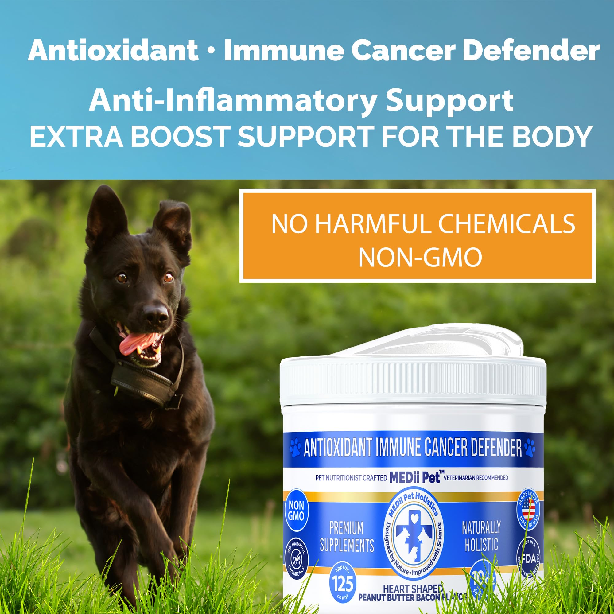 MEDii Pet’s Dog Cancer Prevention. Antioxidants+Free Radical Cancer Blocker. Slows Dog Aging. Helps Prevent Expensive Dog Cancer Treatments. 125 Soft Treats 10oz Boost Dog Health. Safe No Chemicals!