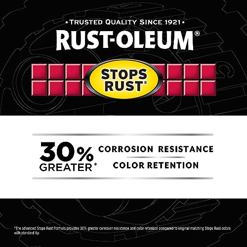 Rust-Oleum 376855 Stops Rust Custom Spray 5-in-1 Spray Paint, 12 oz, Flat Black