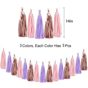 Purple Pink Birthday Party Decorations, Happy Birthday Banner, Pink Party Decorations for Women, Paper Pompoms, Paper Tassels Garland, Circle Dots Garland for Women Girls Birthday Decorations