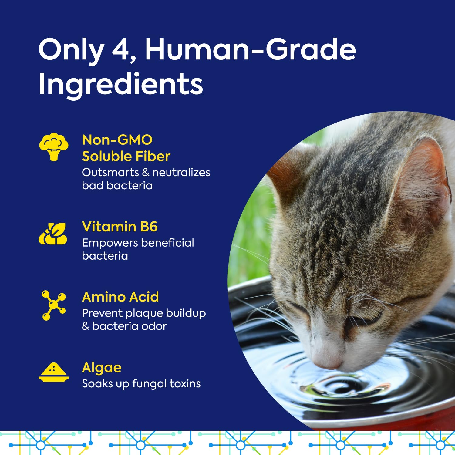 TEEF! for Life Protektin30 Plant-Derived Dental Water Additive for Cats, Daily Dental Care, Clinically-Proven Formula Naturally Fights Plaque and Tartar, Dental Kit with 30 Servings