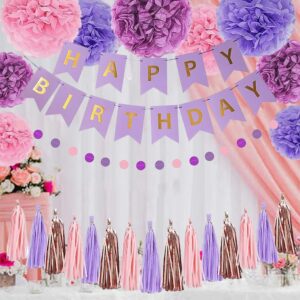 Purple Pink Birthday Party Decorations, Happy Birthday Banner, Pink Party Decorations for Women, Paper Pompoms, Paper Tassels Garland, Circle Dots Garland for Women Girls Birthday Decorations