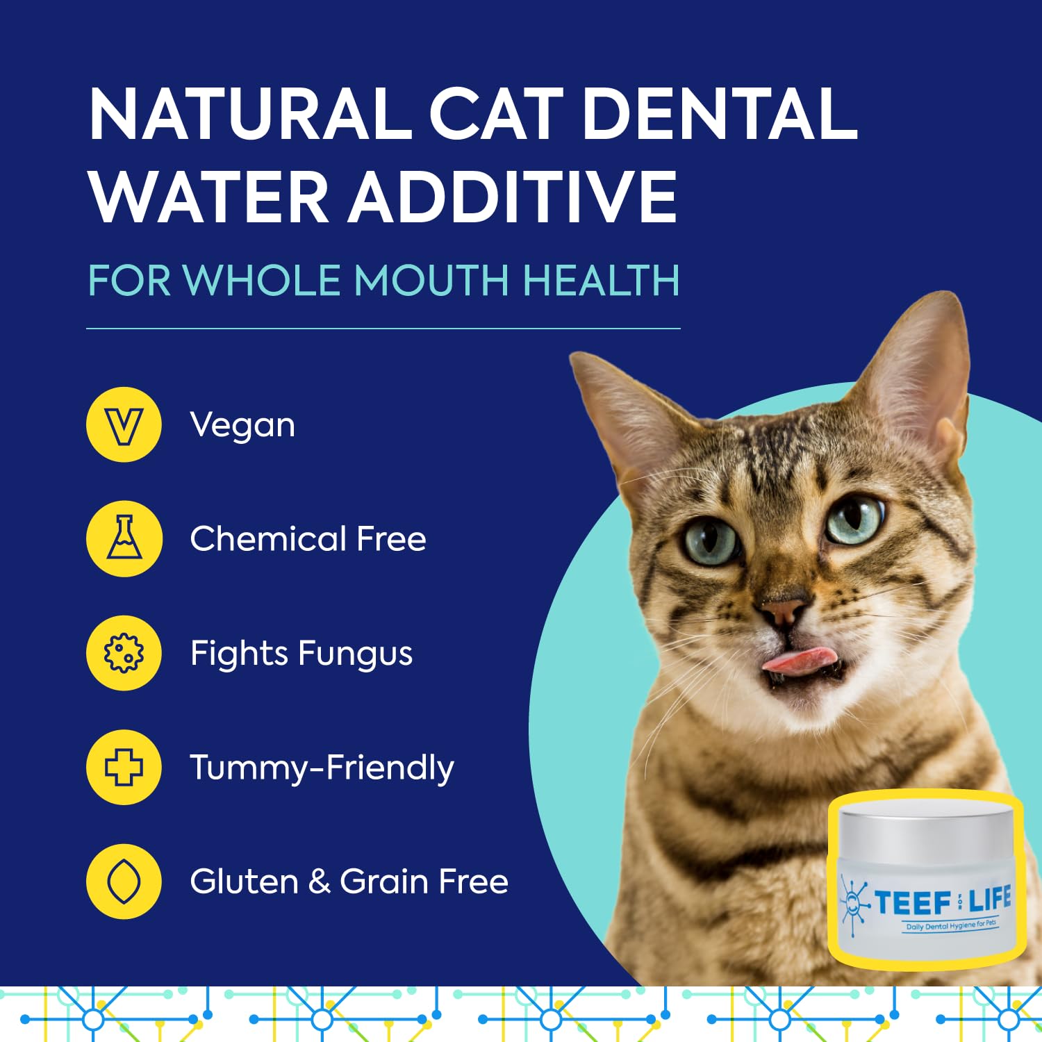 TEEF! for Life Protektin30 Plant-Derived Dental Water Additive for Cats, Daily Dental Care, Clinically-Proven Formula Naturally Fights Plaque and Tartar, Dental Kit with 30 Servings