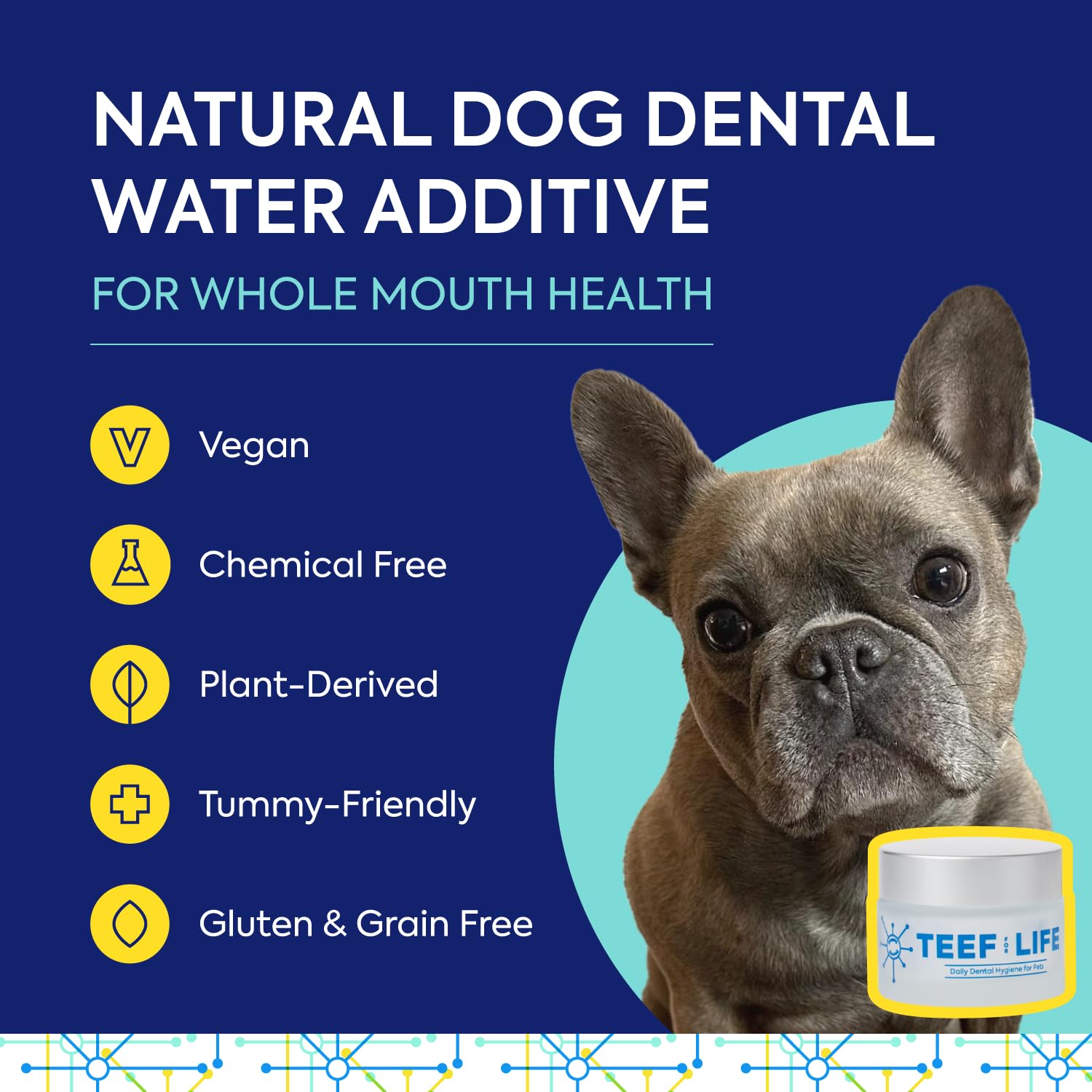 TEEF! for Life Protektin42 Plant-Derived Dental Water Additive for Dogs, Daily Dental Care, Clinically-Proven Formula Naturally Fights Plaque and Tartar, Refill Packet with 30 Servings