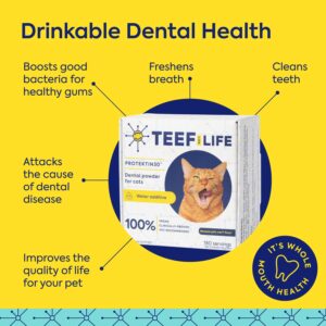 TEEF! for Life Protektin30 Plant-Derived Dental Water Additive for Cats, Daily Dental Care, Clinically-Proven Formula Naturally Fights Plaque and Tartar, Dental Kit with 30 Servings