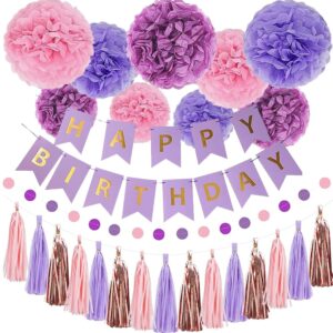 purple pink birthday party decorations, happy birthday banner, pink party decorations for women, paper pompoms, paper tassels garland, circle dots garland for women girls birthday decorations