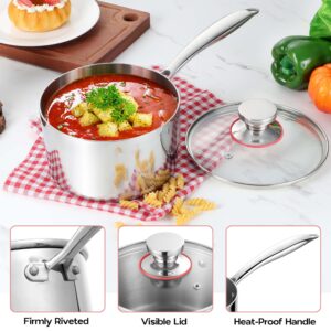 Onader 3QT Sauce Pan with Lid Triply Stainless Steel Saucepan Cooking Pot