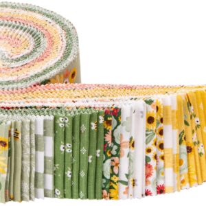 Echo Park Paper Co. Homemade Rolie Polie 40 2.5-inch Strips Jelly Roll Riley Blake RP-13720-40