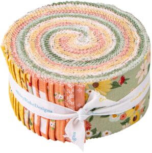 echo park paper co. homemade rolie polie 40 2.5-inch strips jelly roll riley blake rp-13720-40