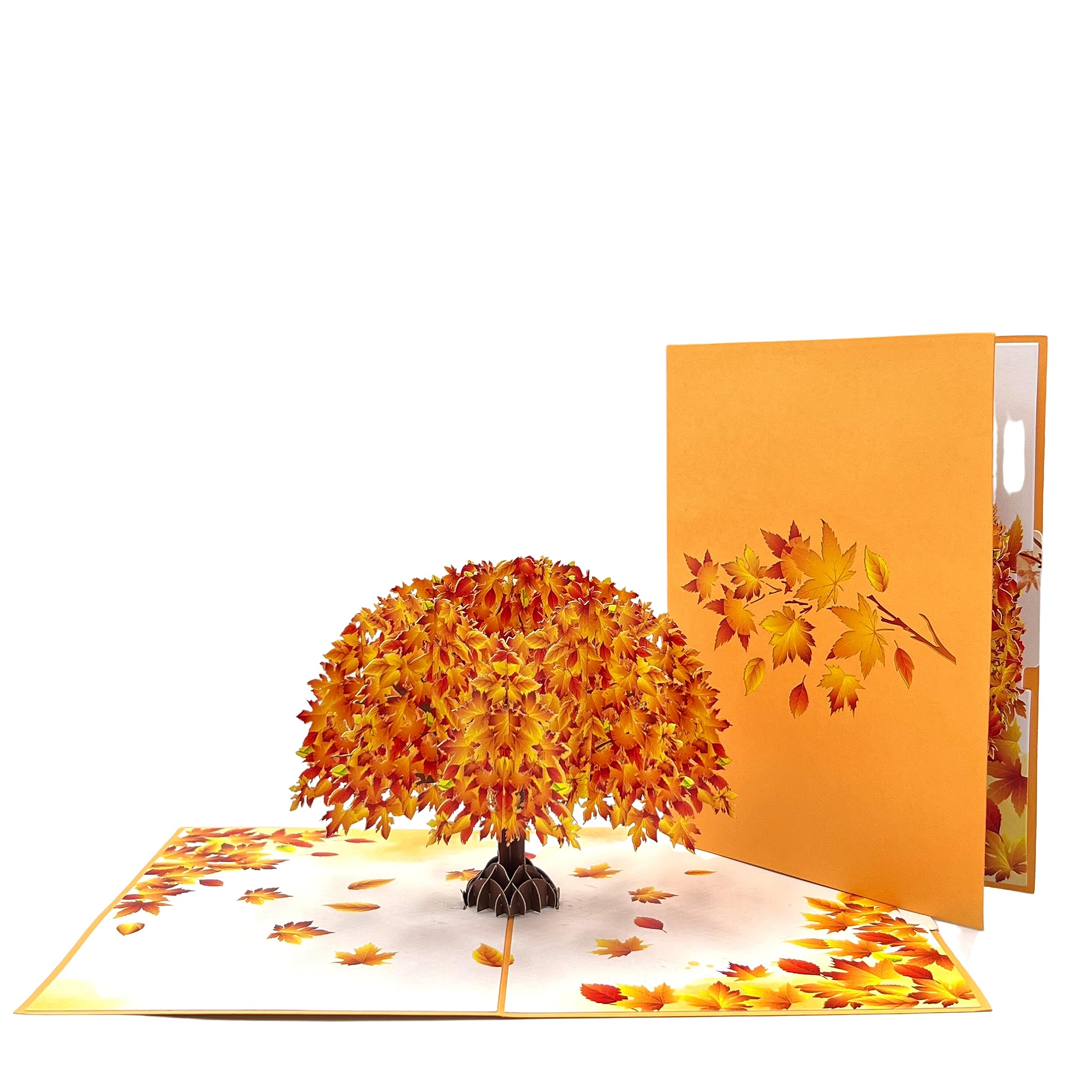 Pop Up Greeting Card Japanese Maple Orange Dream Autumn Card Thank You Birthday Card Nature Card Fall Color Gift Card for Kid Mom Dad Family