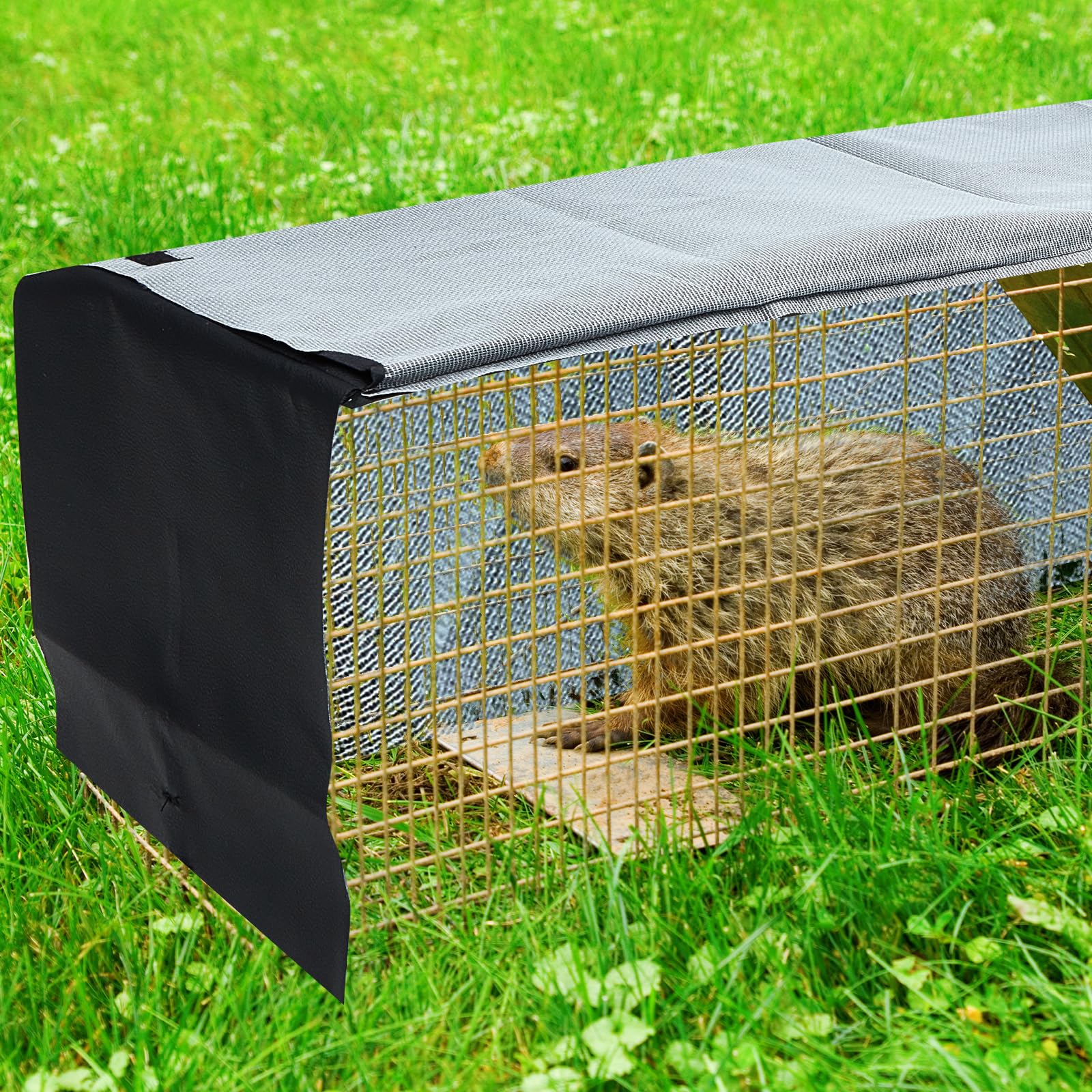 Kittmip 2 Pcs Trap Cage Cover 32 x 10 x 12 Inch Heavy Duty Animal Trap Cover Live Animal Trap Cage Cover for 1 Door Humane Cat Trap Squirrel Dog Gopher Chipmunk Skunk, Cage Not Included, Black