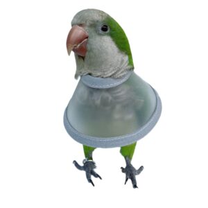 adjustable parrot cone collar, safe and practical cotton collar to prevent bites and licking wounds, to help heal (m)