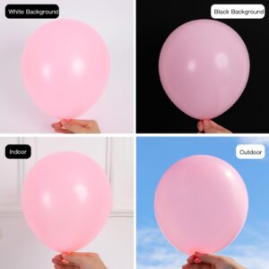 RUBFAC 120pcs Pastel Pink Balloons 12 Inches Latex Balloons, Matte Light Pink Balloons for Birthday Baby Shower Graduation Anniversary Wedding Party Supplies Garland Arch Decoration