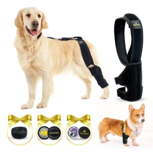 mushie ventures 4-in-1 dog knee brace bundle for cruciate ligament injury, luxating patella, torn acl knee with adjustable front hind leg brace with back strap, calm collar, therapeutic pad(small dog)