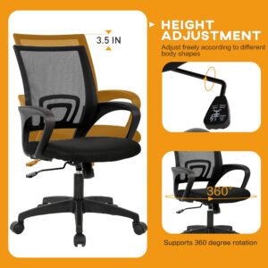 Furniture of America Knoll Ergonomic Desk Chair, Mesh Computer Chair with Lumbar Support& Armrest, Adjustable Home Mid Back Task Chair Modern Executive Rolling Swivel for Home Office, Black