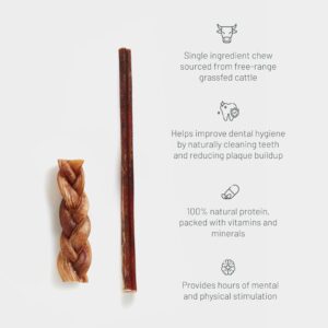 Get Joy Bully Stick Natural Dog Chew, 12 Inch, Single Ingredient Bull Pizzle Long Lasting Dog Chew, Odor Free, for Medium to Large Dogs