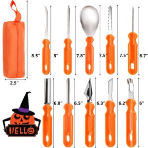 Youeon 10 Pcs Halloween Pumpkin Carving Kit with Carrying Case, Professional Stainless Steel Carving Tools for Halloween Decoration, Pumpkin Carving Tools Set