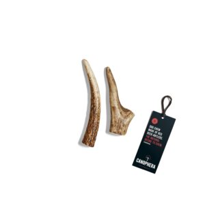 canophera dog chew made of red deer antlers small