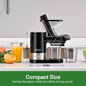 Kitchen in the box Juicer Machines, Small Cold Press Juicer for Single Serve, Slow Masticating Juicer Machine Vegetable and Fruit for Everyday Use, Quiet DC Motor, BPA-Free (Black)