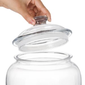 Goaste 135oz Acrylic Cookie Jar with Lid, Airtight Candy Jar Unbreakable, Clear Plastic Apothecary Jar with Silicone Sealing Ring for Dog Treats, Snack, Nuts, Chocolate, Sugar, Herbs, Spices, Cereals