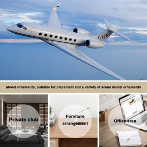 RUFXIEZW 1:100-Scale Model Jet Model Airplane GulfstreamG650,Alloy Model Jets Resin Aircraft Model Toy,Transporter Display Model Plane with Stand and Box Adult Collectibles and Decoration (G650)