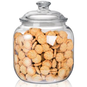 goaste 135oz acrylic cookie jar with lid, airtight candy jar unbreakable, clear plastic apothecary jar with silicone sealing ring for dog treats, snack, nuts, chocolate, sugar, herbs, spices, cereals