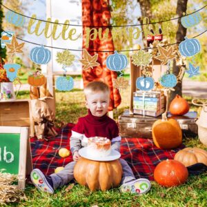 Little Pumpkin Baby Shower Deorations, Fall Leaves Blue Little Pumpkin Banner and Pumpkins Hanging Swirls, Fall Theme Boy Baby Shower Little Pumpkin Birthday Party Decorations