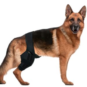 Dog Knee Brace Hind Leg Cruciate Ligament Injury for Torn ACL CCL Joint Pain Muscle Sore Inflammation (Medium)