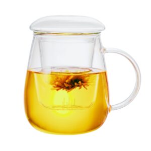 jppsujj glass tea cup with infuser and lid, steeping mug with removable strainer and lid for loose leaf tea, borosilicate glass mug for blooming tea (clear, 17.6 oz capacity)