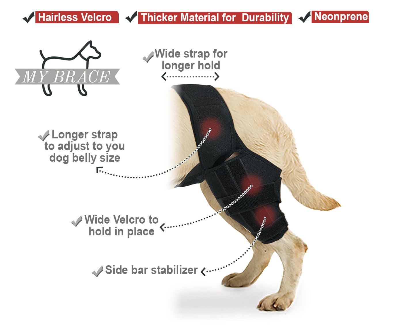 Dog Knee Brace Hind Leg Cruciate Ligament Injury for Torn ACL CCL Joint Pain Muscle Sore Inflammation (Medium)