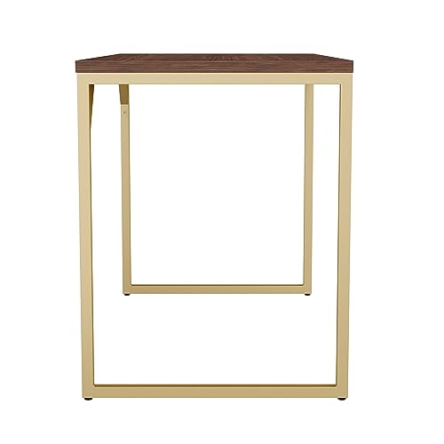 Martha Stewart Noah Home Office Parsons Desk in Walnut Wood Grain with Polished Brass Metal Frame