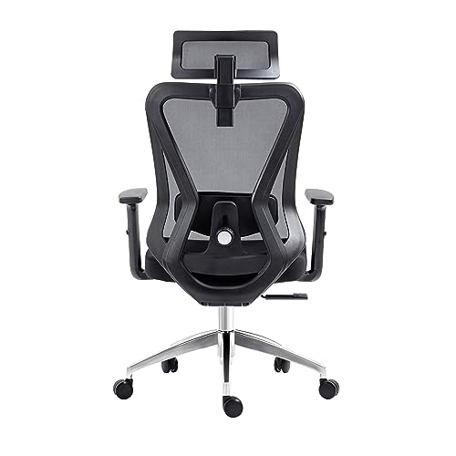 Techni Mobili Truly Ergonomic Office Chair with Lumbar Support & Adjustable Headrest – Breathable Mesh Office Chair with 5 Precision Adjustment Points, Black