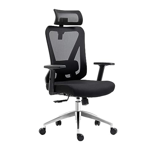 Techni Mobili Truly Ergonomic Office Chair with Lumbar Support & Adjustable Headrest – Breathable Mesh Office Chair with 5 Precision Adjustment Points, Black