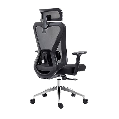 Techni Mobili Truly Ergonomic Office Chair with Lumbar Support & Adjustable Headrest – Breathable Mesh Office Chair with 5 Precision Adjustment Points, Black