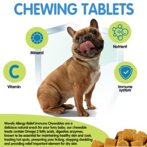 Dog Allergy Relief Chews for All Ages All Breeds - cgify 120 Soft Chews for Dog Itch Relief, Immune Chews, Skin & Coat Supplement, Omega 3 Fish Oil Probiotics for Dogs (Chicken Flavored)