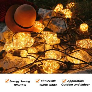 Led Fairy bulbs, String light bulbs.ST19 Starlight Decorative Bulbs Replacement Incandescent lamp for Patio, Garden,Batheroom,Bedroom,Warm White 2200K,70LM,E26 Base,120V/AC,Not solar energy(4PACK)