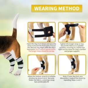 AGON® Dog Rear Brace Pair Hock Joint Brace with Metal Strings and Reflective Wraps Compression Straps Canine Back Leg Protects Wounds. Heals Prevents Injuries Sprains Loss of Stability by Arthritis