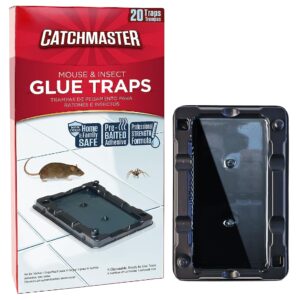 catchmaster mouse & insect glue traps 20-pk, adhesive rodent & bug catcher, pre-scented mouse traps indoor for home, sticky glue traps for mice and insects, pet safe pest control for house & garage