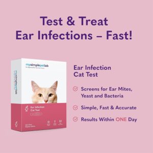 MySimplePetLab Cat Ear Infection Test Kit | Fast and Accurate Detection of Cat Ear Yeast and and Other Ear Irritations | Reliable Mail-in Ear Care Cat Test Kit for Smelly, Itchy, or Sore Ears