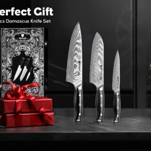 Damascus Knife Set 3 PCS with Premium VG10 Damascus Steel, Ultra-Sharp Professional Japanese Kitchen Knife Set, Full Tang Chef Knife Set with G10 Hand