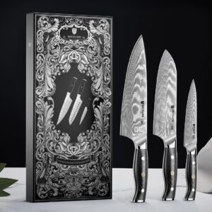 Damascus Knife Set 3 PCS with Premium VG10 Damascus Steel, Ultra-Sharp Professional Japanese Kitchen Knife Set, Full Tang Chef Knife Set with G10 Hand