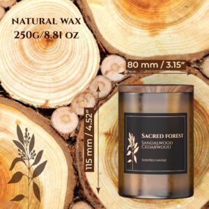 Sacred Forest Cedar & Sandalwood Candle | Scented Candle for Relaxing Aromatherapy | 60H Burn Time | Infused with Essential Oils | Christmas Gift | Natural Soy 8.81 Oz