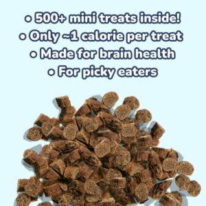 healthybud Mini Dog Training Treats - Beef Liver Soft Trainer Bites, 500+ Bits, 1 kCal per Bite, 6.5oz, Reishi, Lion’s Mane, Salmon Oil, Puppy Chews (Beef)