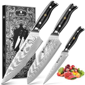 damascus knife set 3 pcs with premium vg10 damascus steel, ultra-sharp professional japanese kitchen knife set, full tang chef knife set with g10 hand