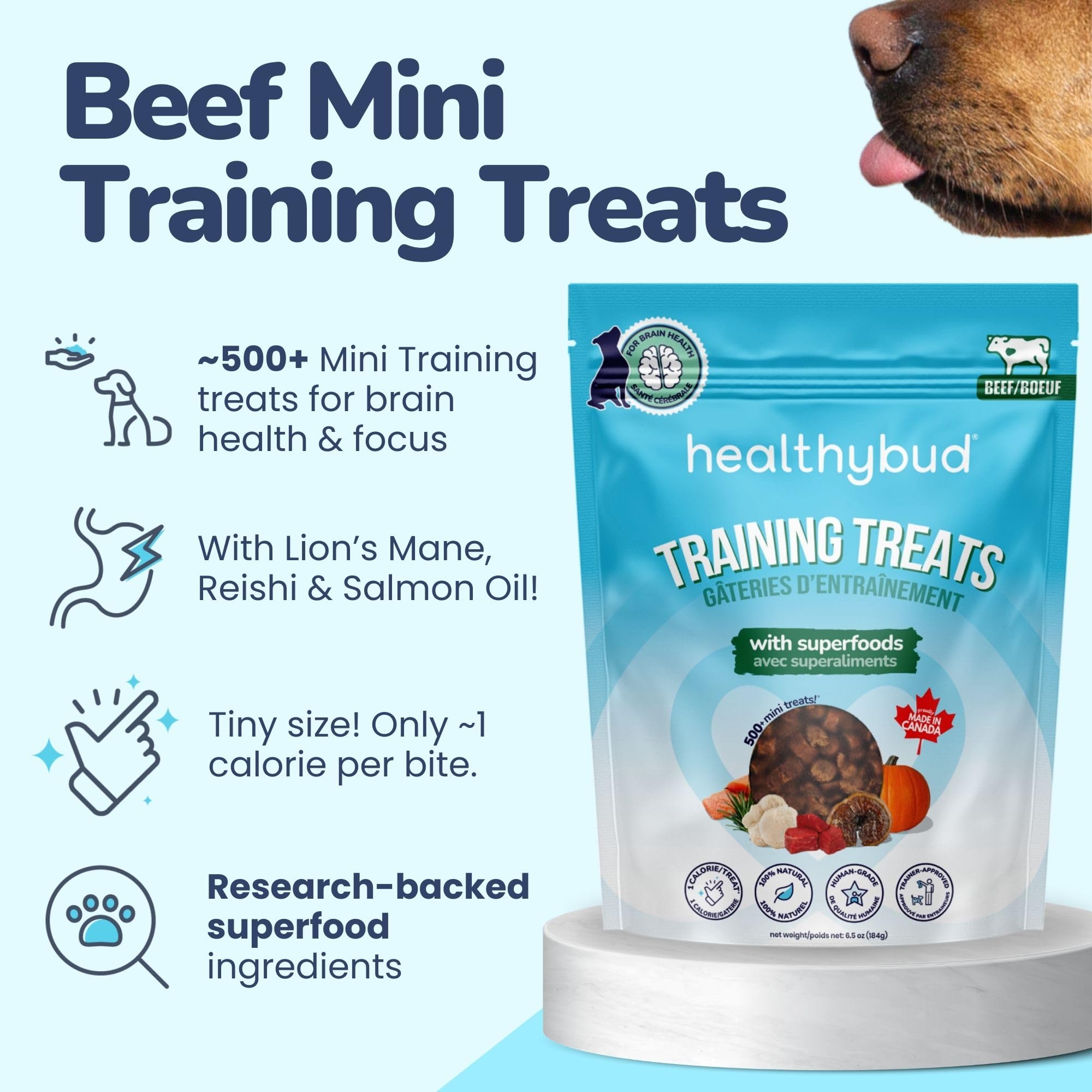 healthybud Mini Dog Training Treats - Beef Liver Soft Trainer Bites, 500+ Bits, 1 kCal per Bite, 6.5oz, Reishi, Lion’s Mane, Salmon Oil, Puppy Chews (Beef)