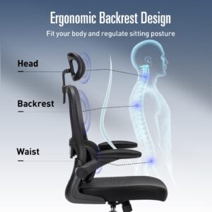 SOMEET Office Chair, Ergonomic Mesh Office Chair with Adjustable Headrest and Arms, High Back Ergonomic Desk Chair with Lumbar Support, Comfortable Home Office Desk Chairs with Tilt Lock (Black)