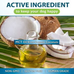 Nutrition Strength MCT Oil for Dogs from Organic Coconuts, Medium Chain Triglycerides with Caprylic Acid & Capric Acid to Protect Skin and Coat, Boost Immunity, Support Metabolism, 90 Soft Gels