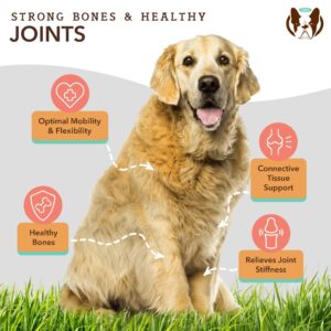 Natural Dog Company 32 oz. Bundle with Wild Alaskan Salmon Oil and Liquid Glucosamine for Dogs, Fish Oil Supplement, Joint and Hip Support