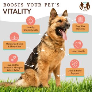 Natural Dog Company 32 oz. Bundle with Wild Alaskan Salmon Oil and Liquid Glucosamine for Dogs, Fish Oil Supplement, Joint and Hip Support