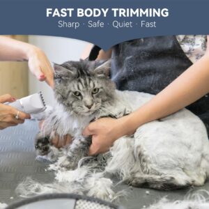 Cat Grooming Clippers Kit for Matted Hair, Bautrium 3 in 1 Electric Pet Hair Trimmer for Thick Hair, Heavy Coat Butt Shaver Cordless Cat Razor Claw Fur Trimmer for Dogs and Other Small Animals at Home