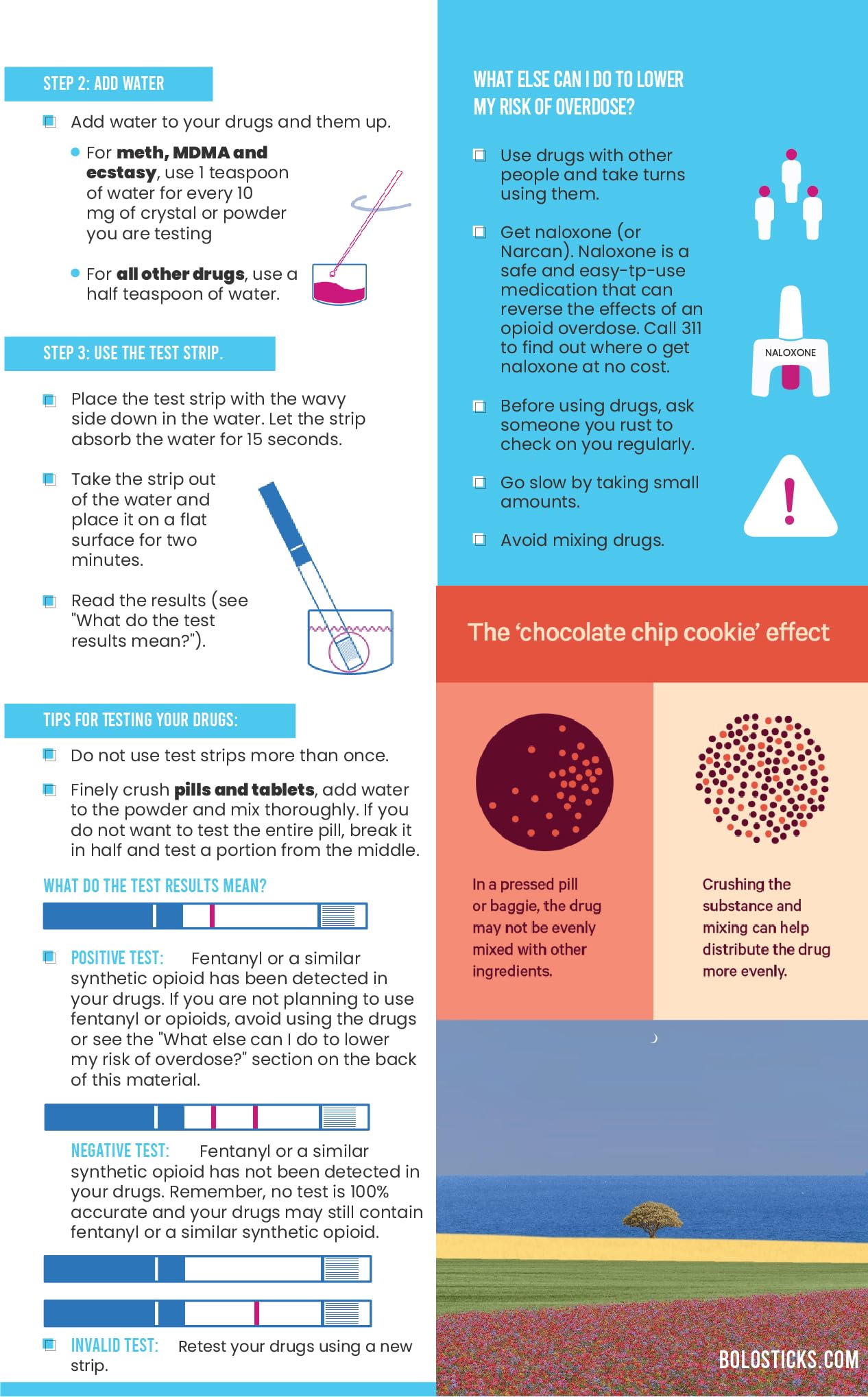 Bolosticks Fentanyl Test Strip Kit - Art Filled, Compact & Festival Ready - Rapid Test Strips, Testing Surface, Test Tube, Sample Scraper, and Info Booklet (Pack of 10)